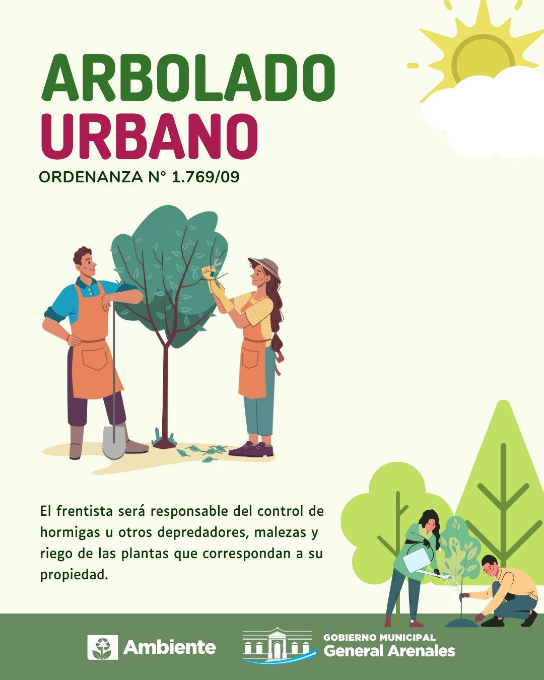 ¿Qué debemos saber sobre el Arbolado Urbano del distrito de General ...
